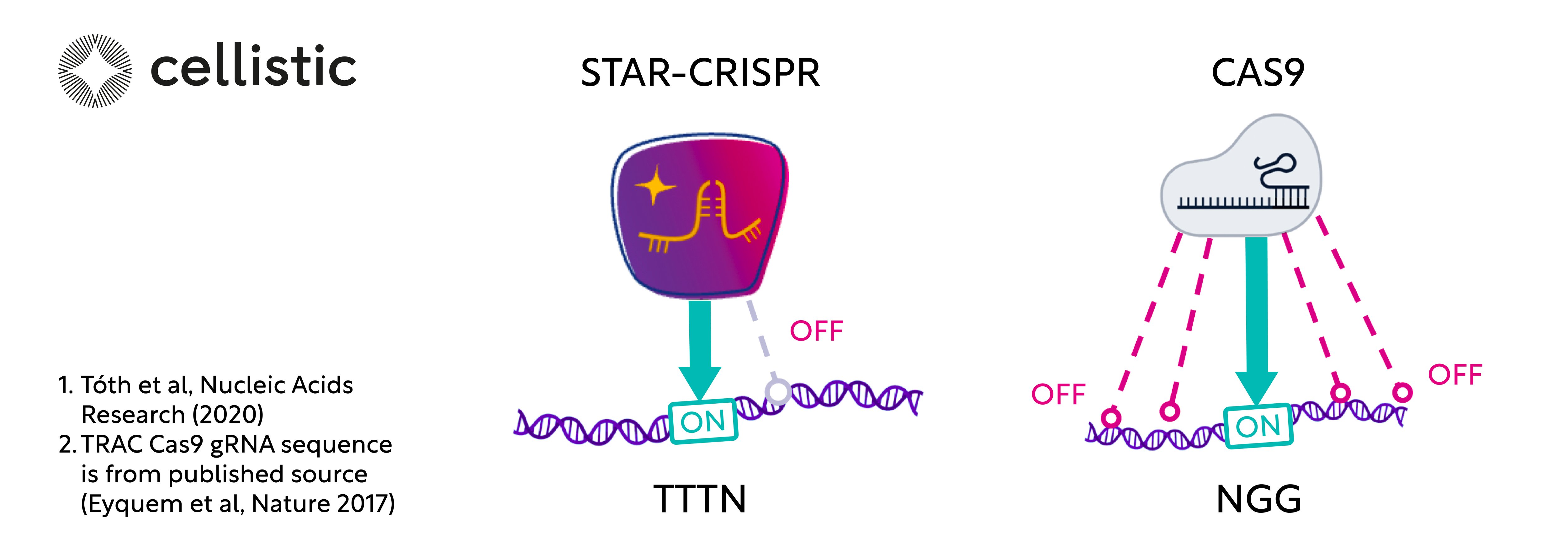 Enhancing precision in iPSC Allogeneic Cell Therapy through advanced gene-editing strategies